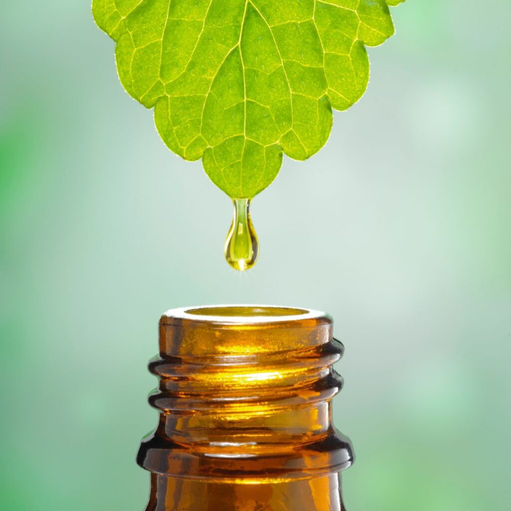 Integrative & Alternative Medicine Services Middle Park | Health104